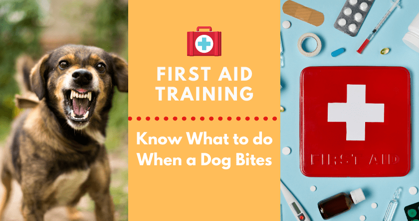 First Aid for Bite Wounds by 24x7 Medical Service Delhi NCR